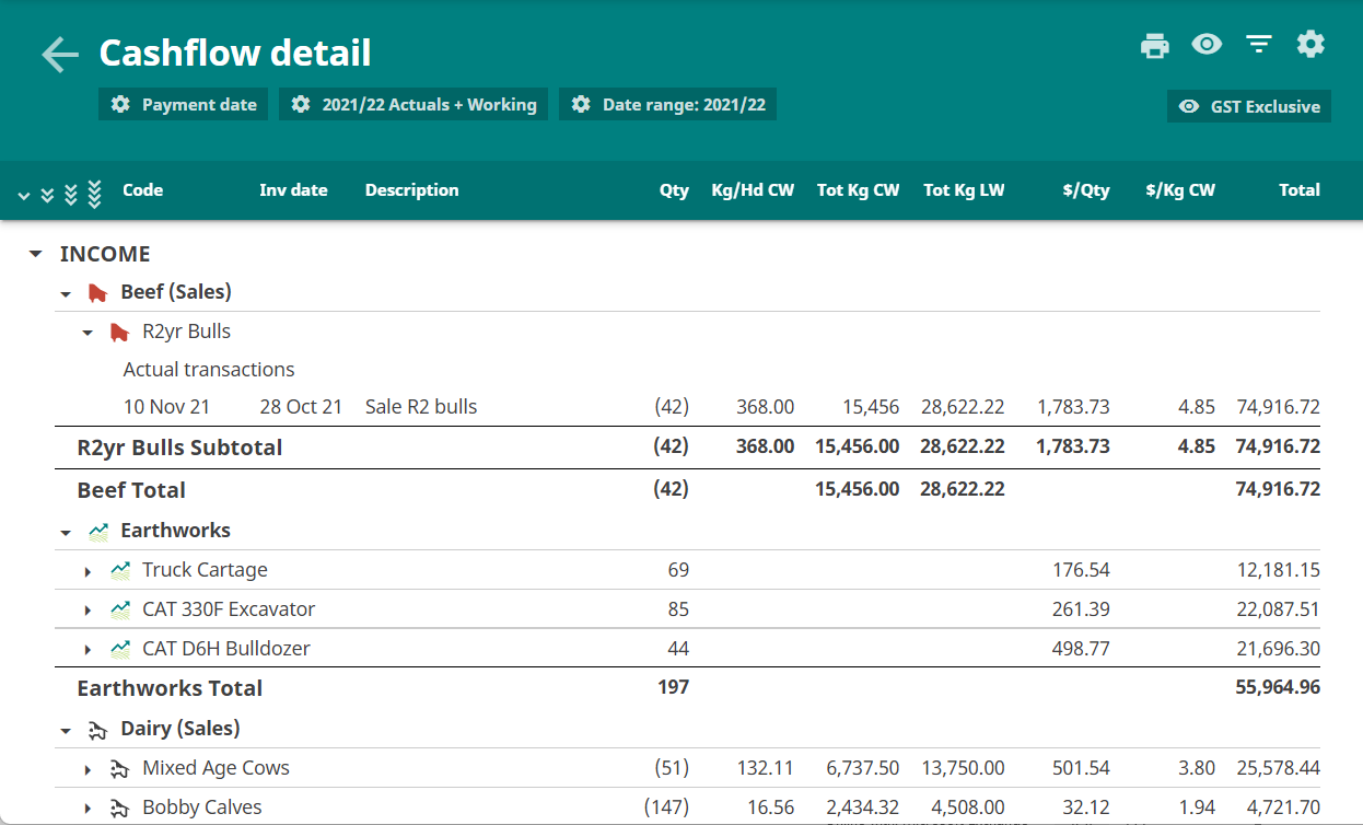How to use the Cashflow Detail Report